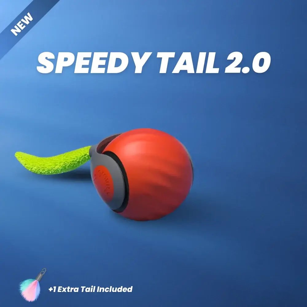 SPEEDY TAIL 2.0 – Kiazure