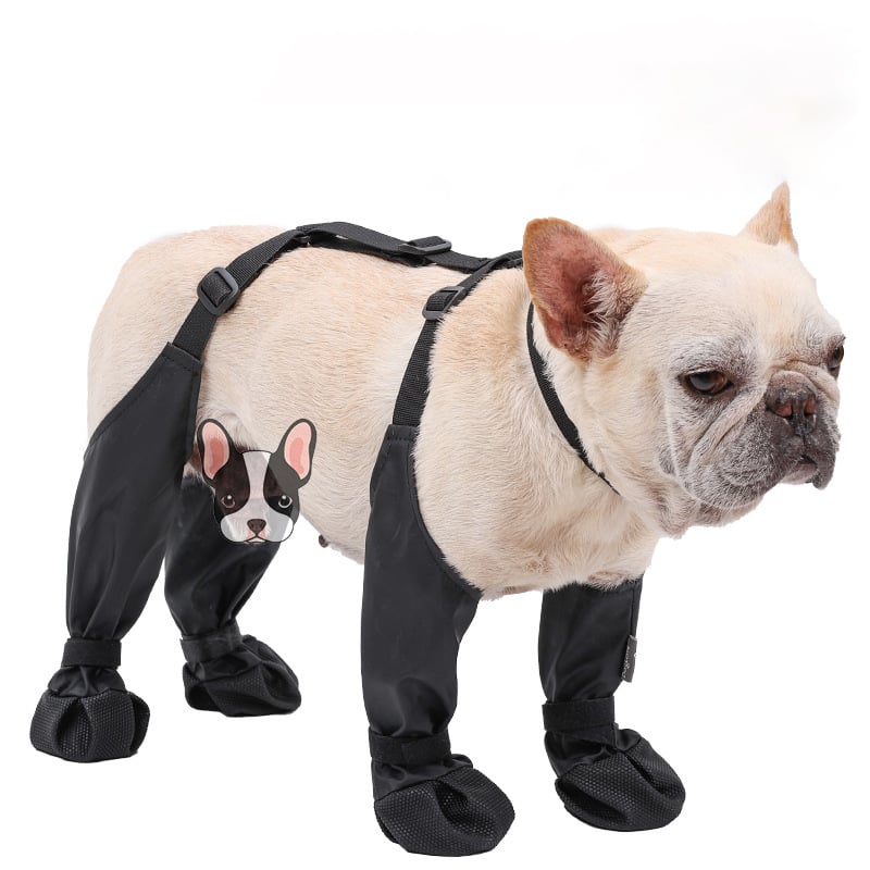 Suspender Boots For Dogs – Kiazure